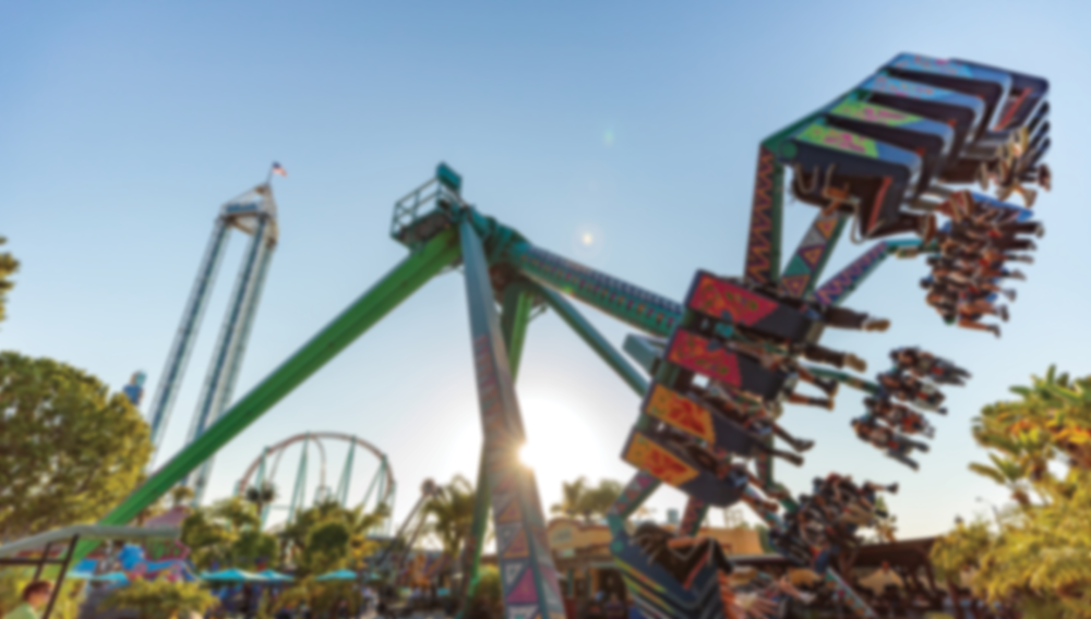 Limited Edition – FUN MERCHANDISE ONLINE SHOP