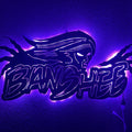 Kings Island Banshee Light-Up Sign – FUN MERCHANDISE ONLINE SHOP
