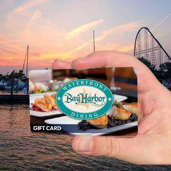 Gift Cards – FUN MERCHANDISE ONLINE SHOP