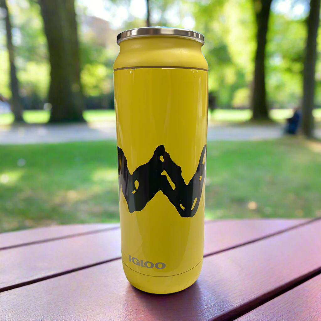 PEANUTS® Igloo® 16 oz Stainless Steel Tumbler – FUN MERCHANDISE ONLINE SHOP