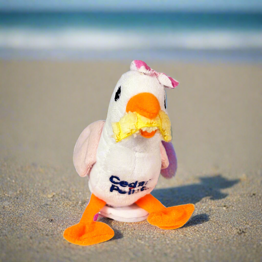 Cedar Point – FUN MERCHANDISE ONLINE SHOP